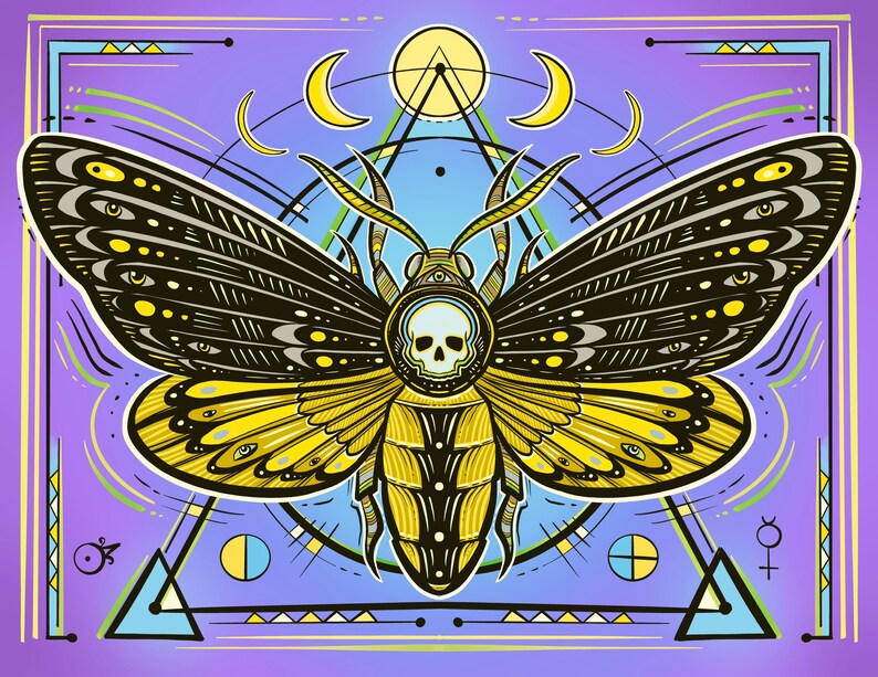 Deadhead Moth 8.5x11in Print - Etsy