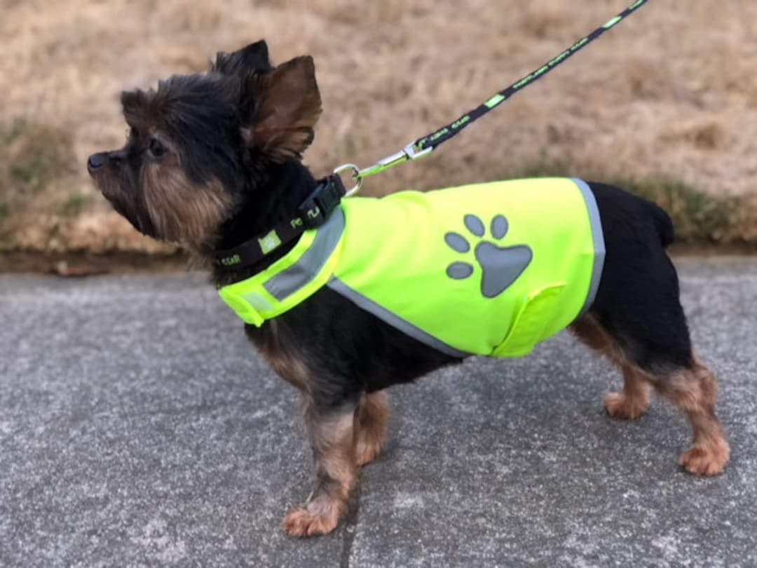 High Visibility, Reflective Safety Dog Vest - Etsy