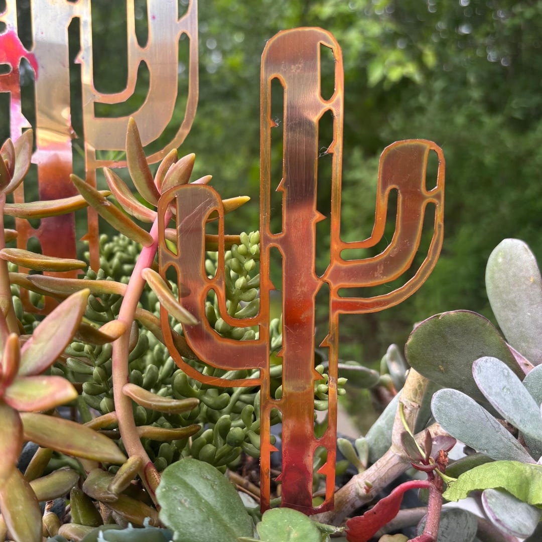 Medium Cactus Garden Stake Yard Art - Etsy