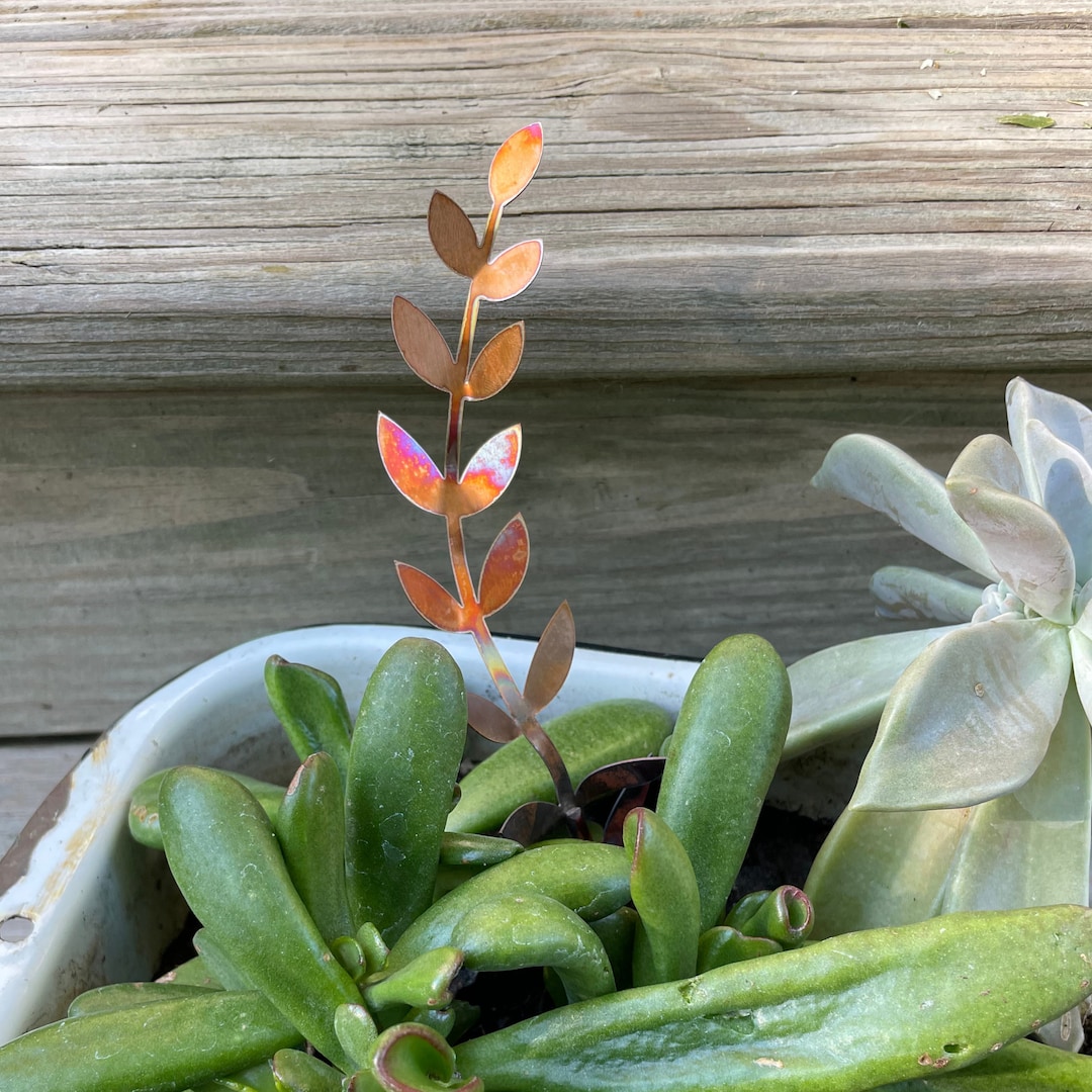Rainbow Patina Copper Fern Plant Stake - Garden Art Decor - Etsy