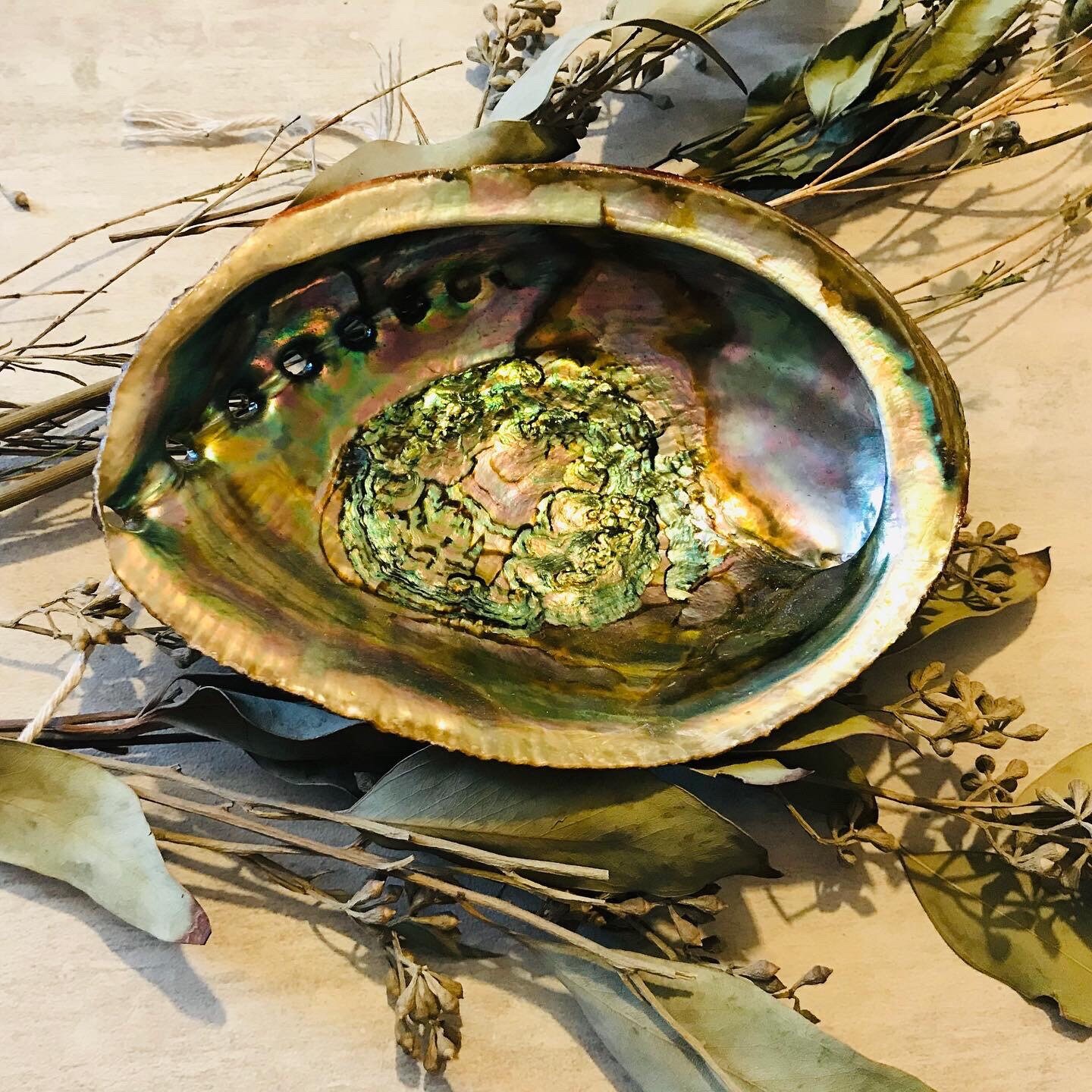 Abalone Shell Smudging Bowl - Etsy