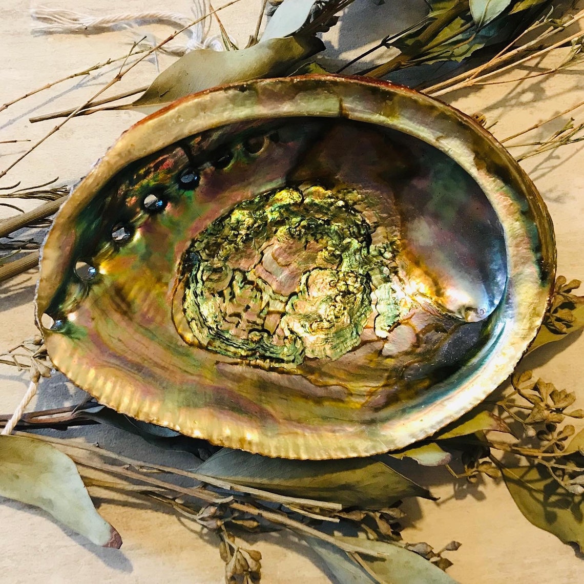 Abalone Shell Smudging Bowl - Etsy