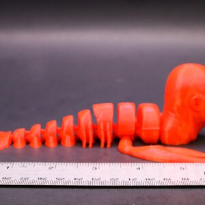 Rock Lobster Articulated Fidget Toy | Dwayne Johnson |the Rock - Etsy