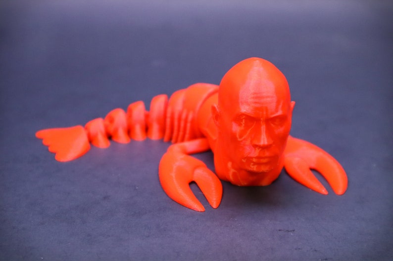Rock Lobster Articulated Fidget Toy Dwayne Johnson the Rock - Etsy