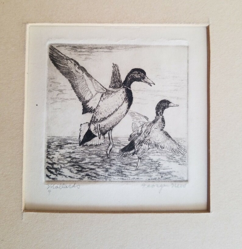 Original Etching of Mallard Ducks by Artist Dr. George New Signed Dated ...