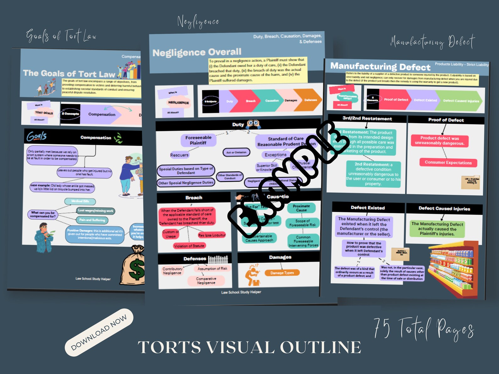 2023 1L Torts Complete Visual Torts Outline for 1L Mastery 75-page ...