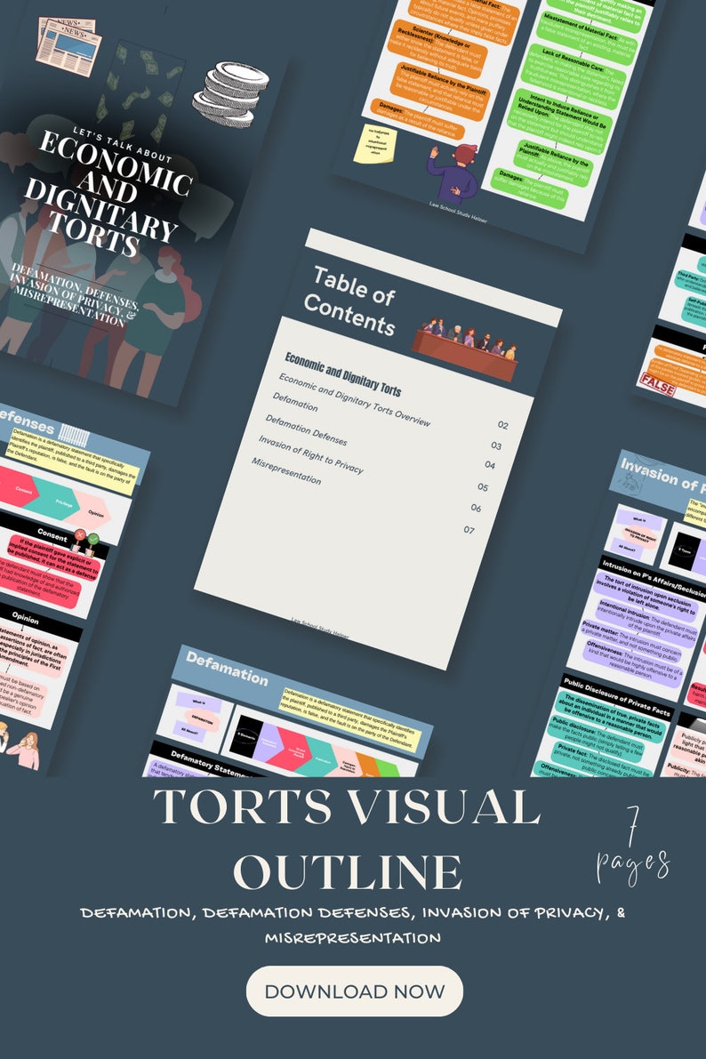 Visual Torts 1L OUTLINE BUNDLE Intentional Torts to Persons & Economic ...