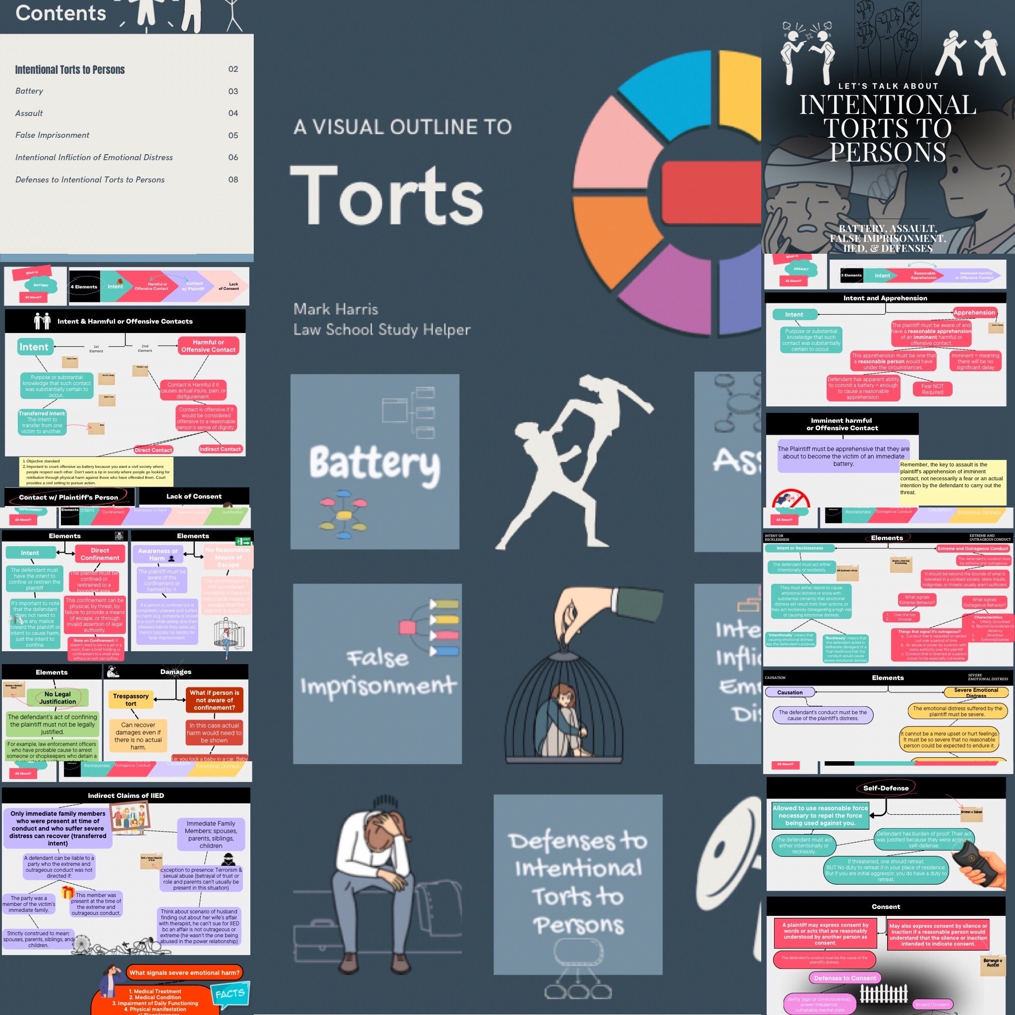 2023 1L TORTS OUTLINE Visual Study Guide to Intentional Torts to ...
