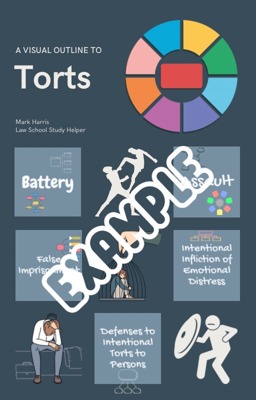 2023 1L TORTS OUTLINE Visual Study Guide to Intentional Torts to ...