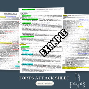 Torts Law 1L Study Guide BUNDLE Comprehensive 76-page OUTLINE & Exam ...