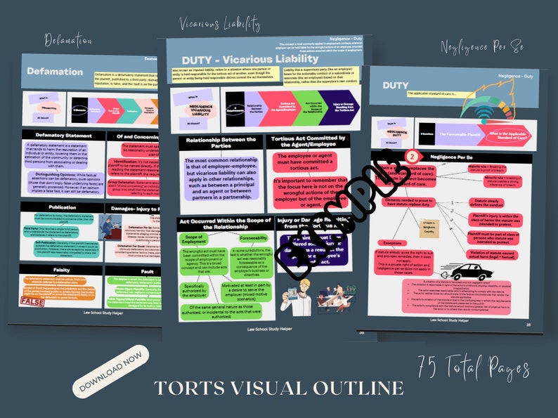 1L Torts Complete Visual Torts Outline for 1L Mastery 75-page Guide ...