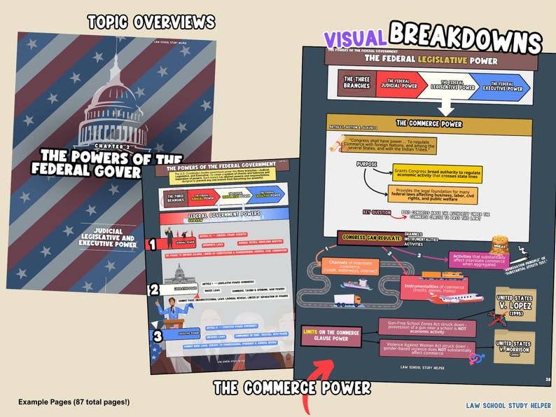 1L Constitutional Law Visual Outline — 87-page PDF (2025 Edition) - Etsy