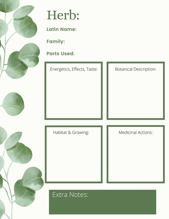 Witchy Printable Herbal Monograph Prompt Add to Notebooks - Etsy