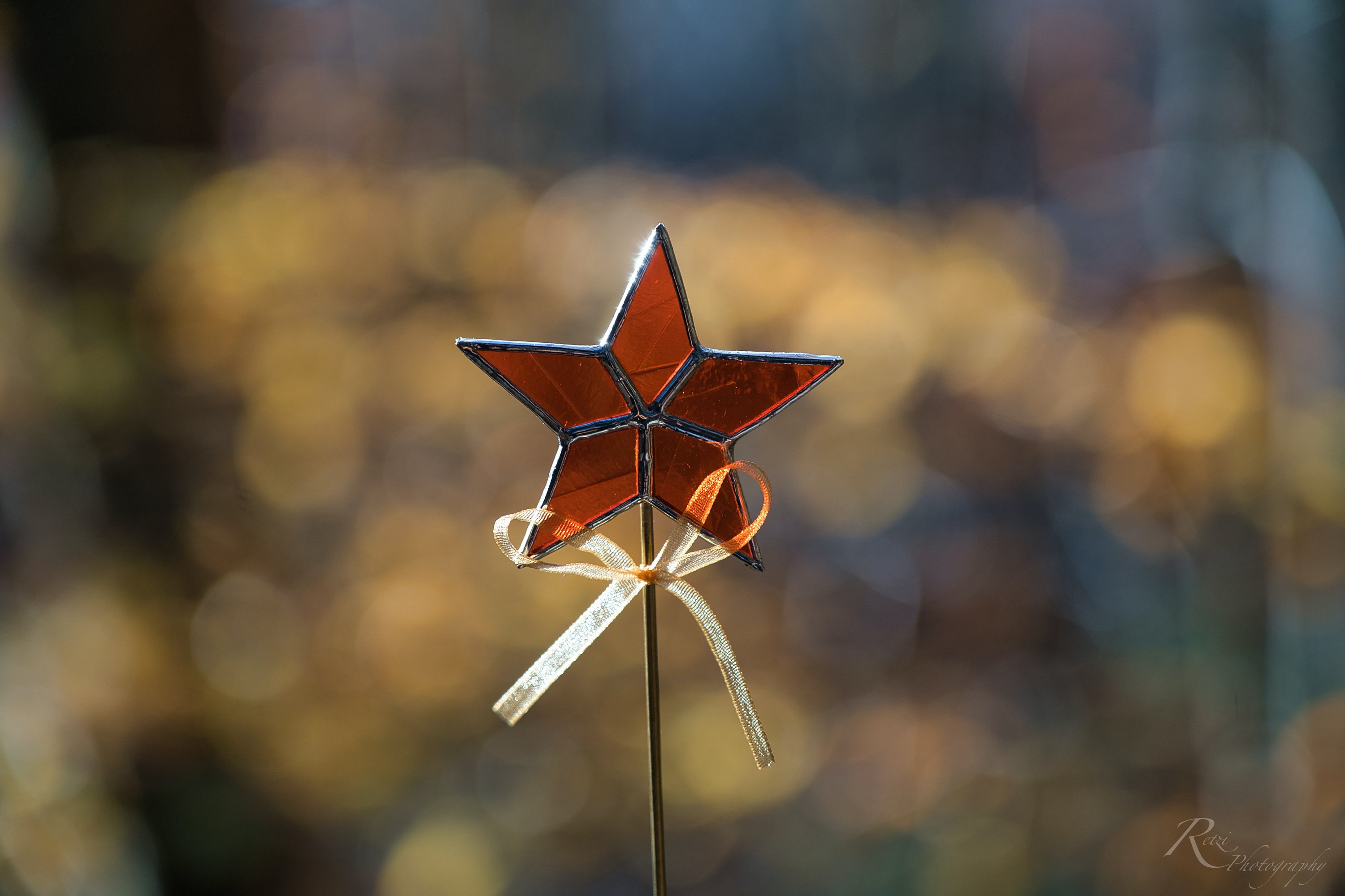 Plant Stake Star for Christmas | Etsy