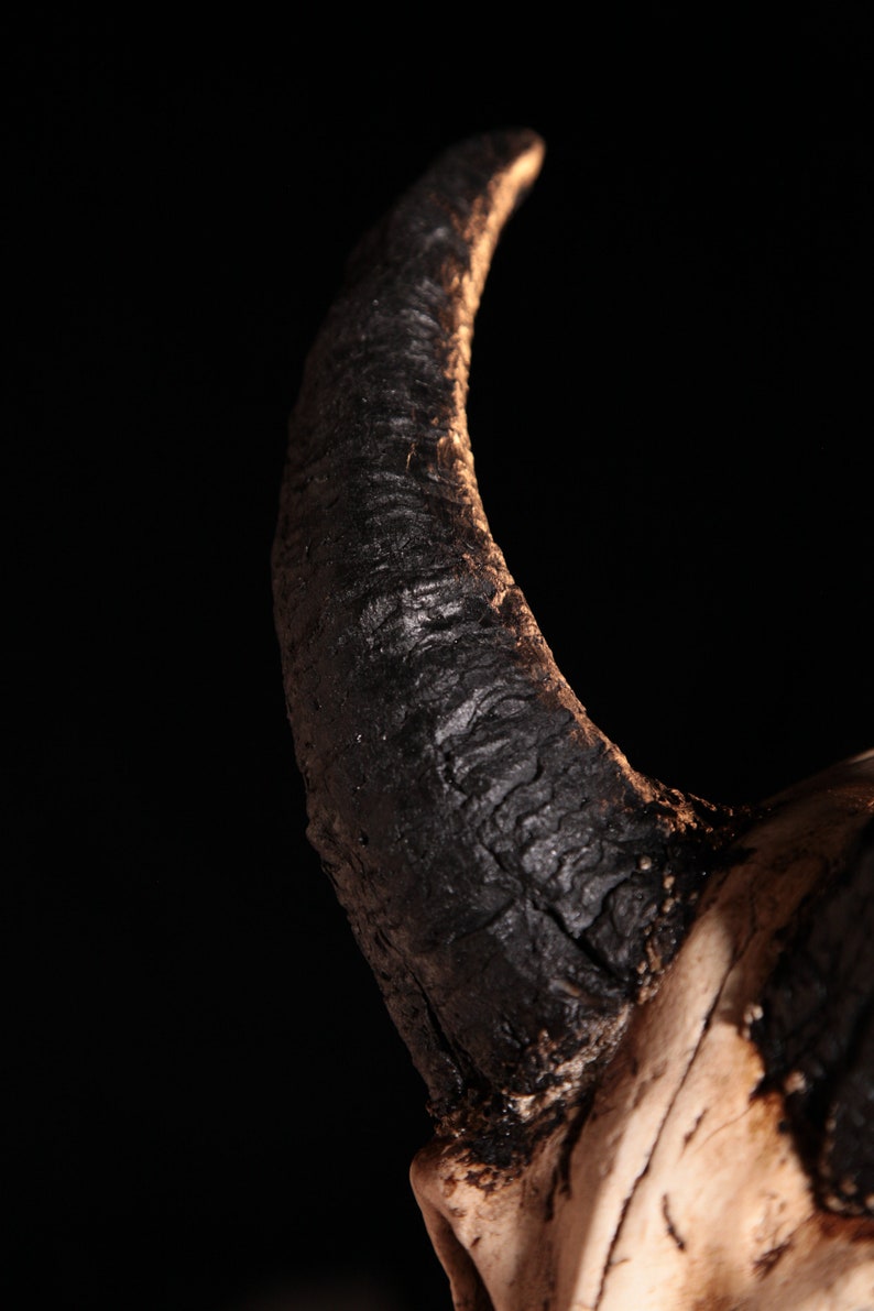 Handmade Goat Resin Mask - Etsy