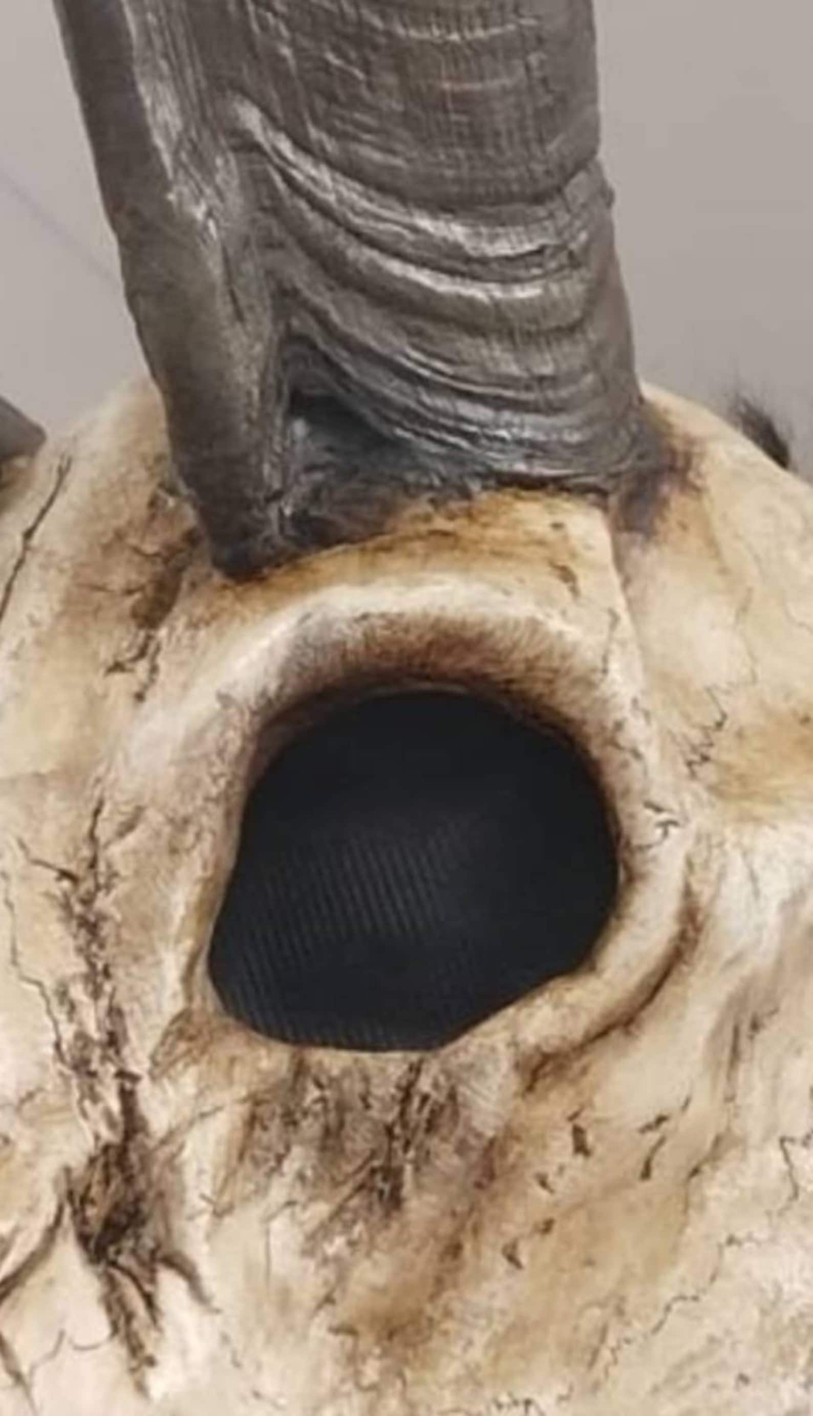 Handmade Goat Resin Mask - Etsy