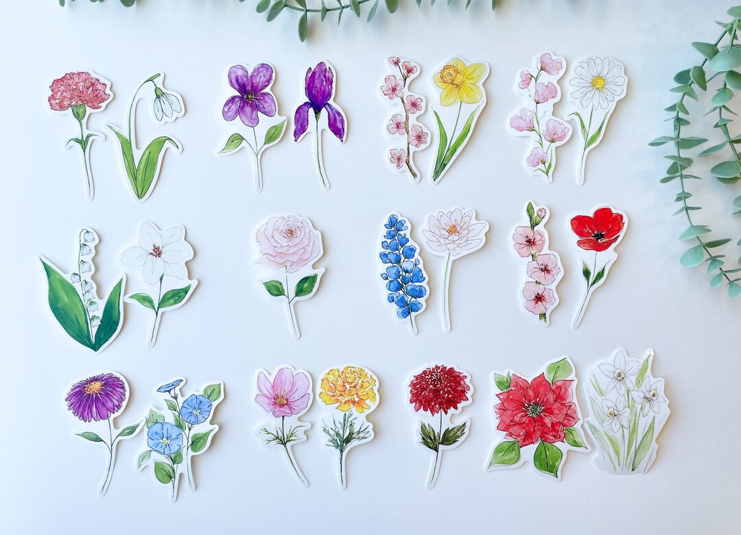 Birth Flower Stickers Full Set of 22 Stickers One of Each - Etsy