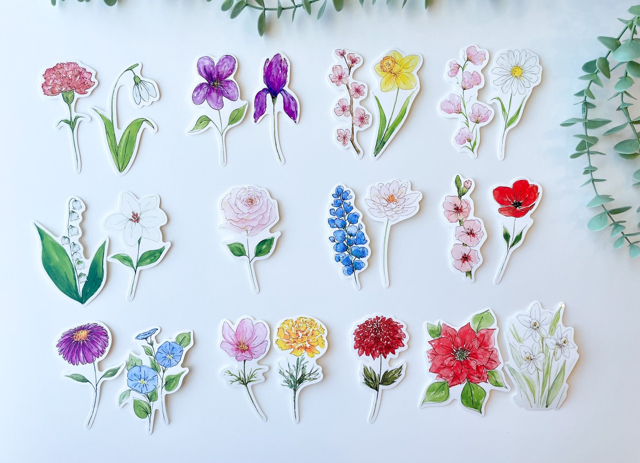 Birth Flower Stickers Full Set of 22 Stickers One of Each - Etsy