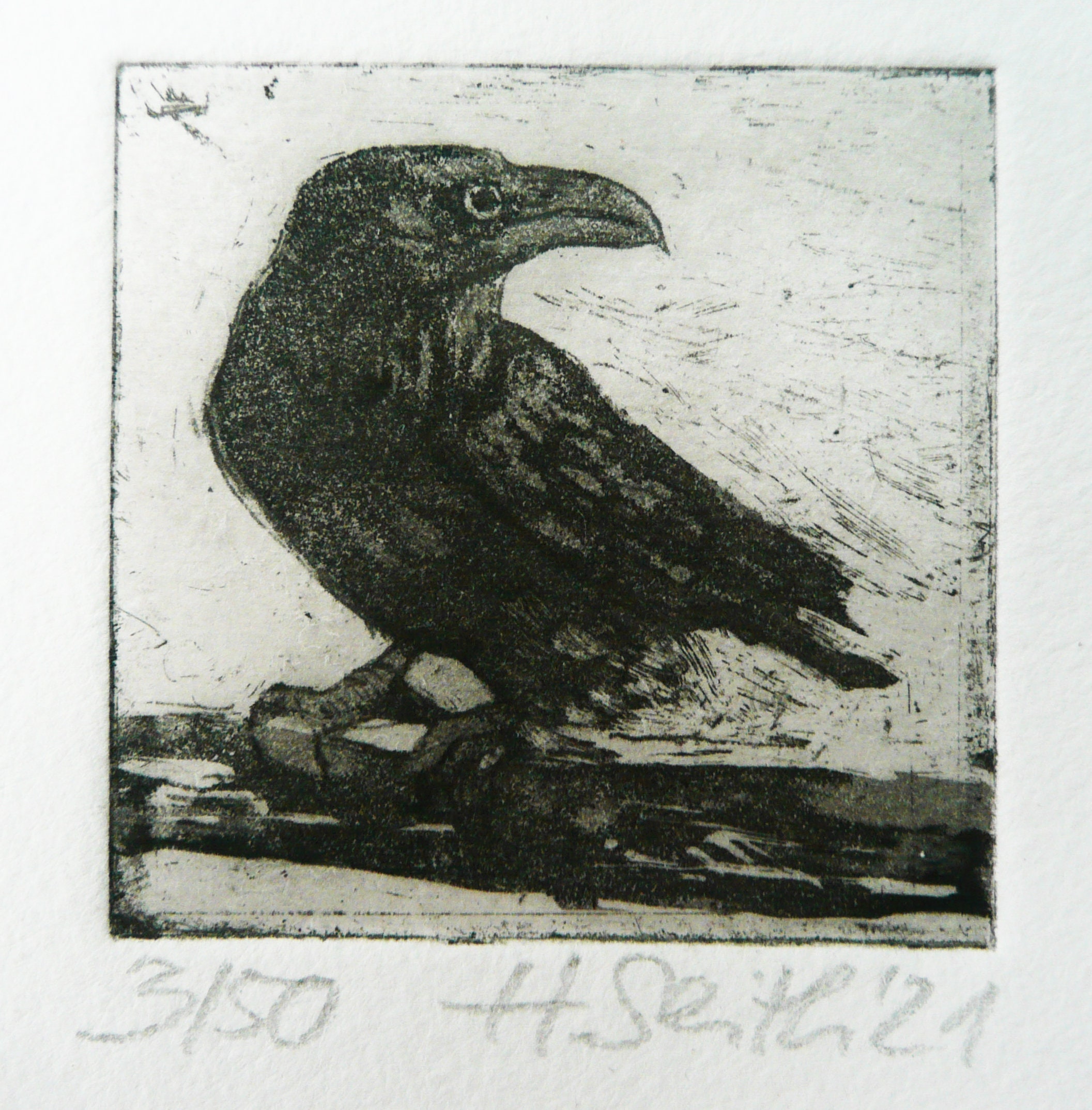 Etching raven Looking Ahead With Passepartout - Etsy