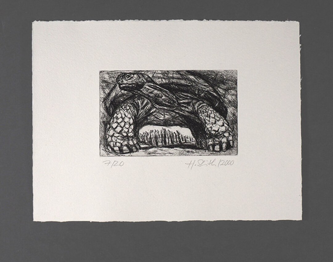 Turtle Etching great Gate Black and White Hand Print - Etsy