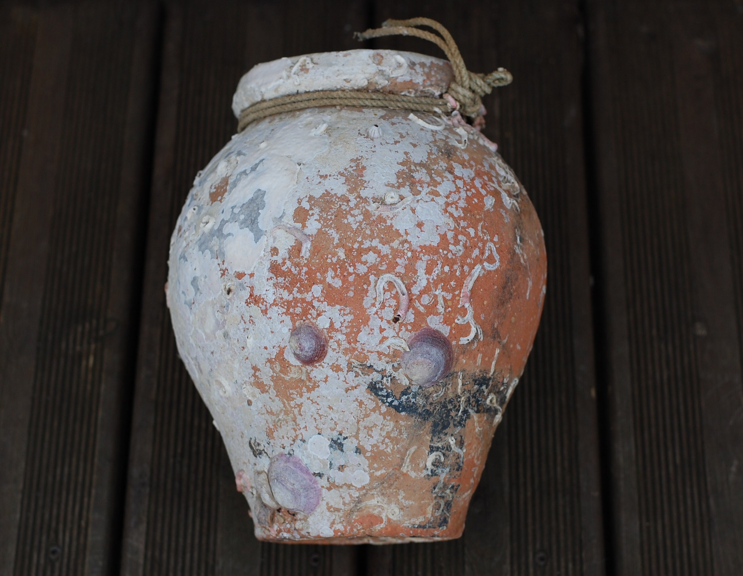 Antique Clay Pot Pottery Jug Undersea Pot Coral and Seashell - Etsy UK