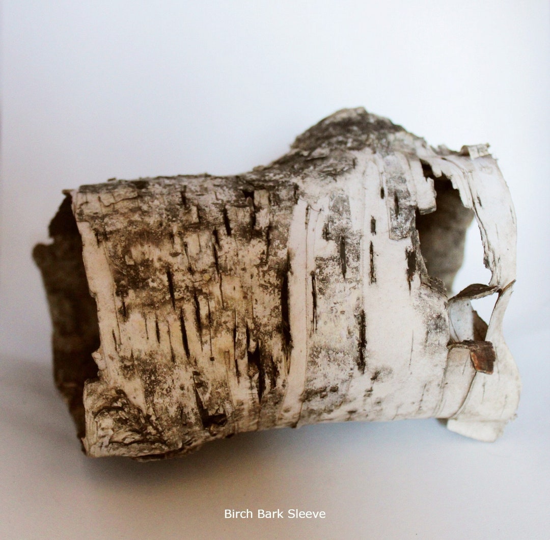 Real Birch Bark for Art / Crafts / Home Decor - Birch Bark Craft ...
