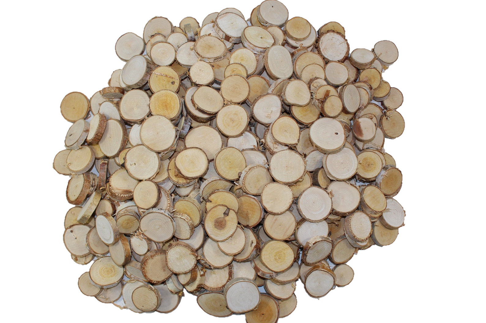 Birch Slices 2-5 Cm Tree Discs Birch Disc Bark Disc Branch | Etsy