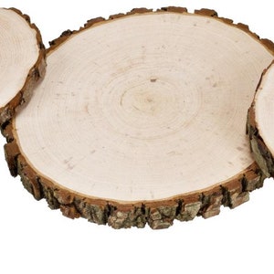 Tree Discs, Bark Disc, Bark Board, Wooden Disc, Tree Disc, Cutting ...