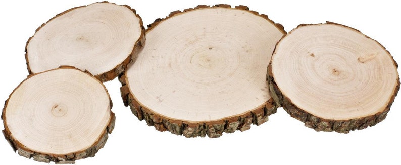 Tree discs bark disc bark board wooden disc tree disc cutting | Etsy