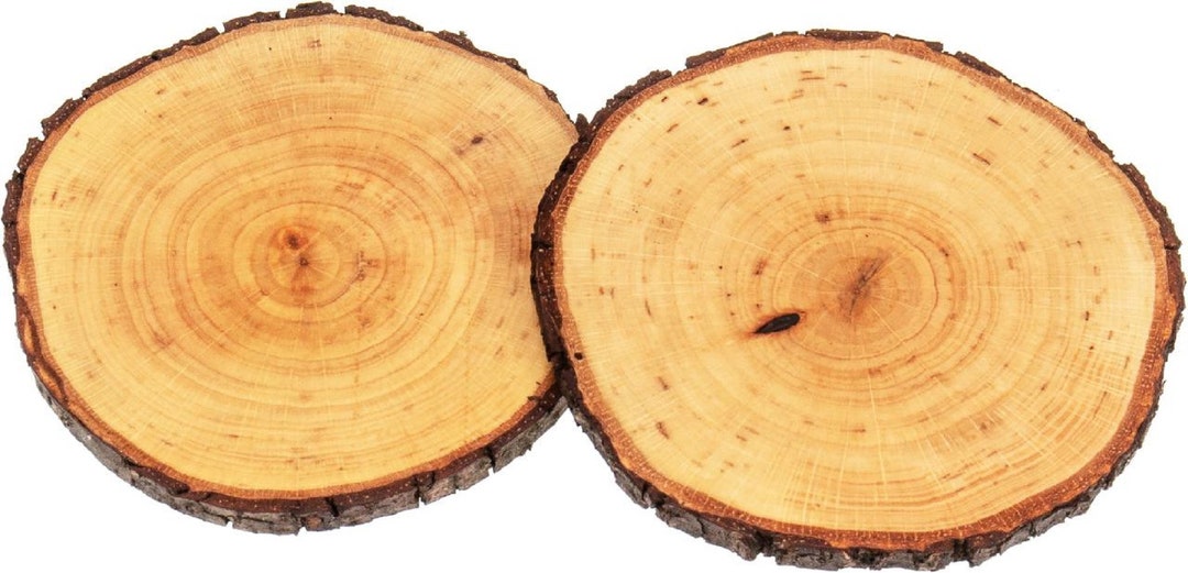 Lacquered Tree Disc Made of Alder Wood, Cake Plate, Tree Discs, Bark ...