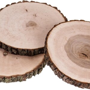 Tree Discs, Bark Disc, Bark Board, Wooden Disc, Tree Disc, Cutting ...