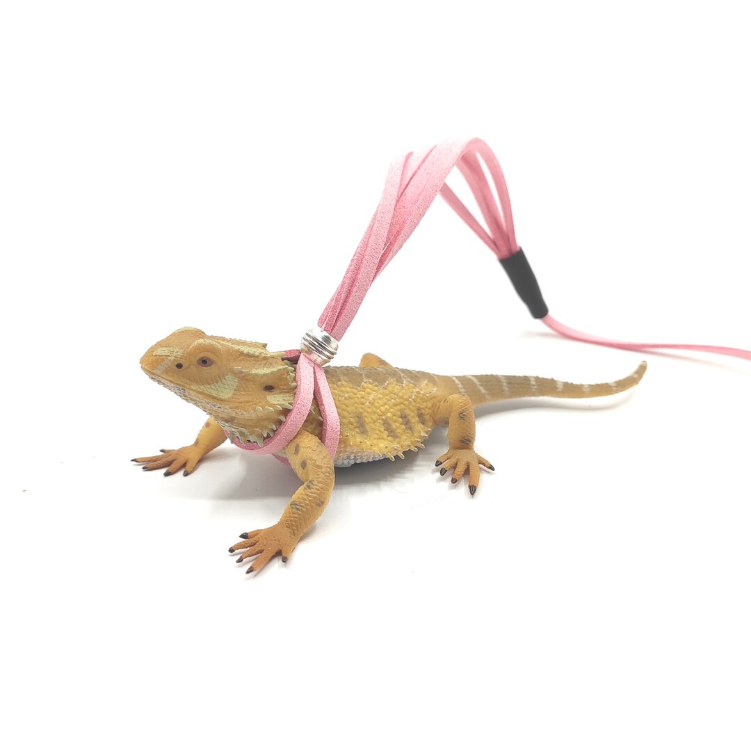 Bearded Dragon Leash, Pink Reptile Adjustable Leash, Iguana Leash ...