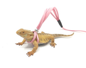 Bearded Dragon Leash, Reptile Adjustable Leash, Iguana Leash, Reptile ...