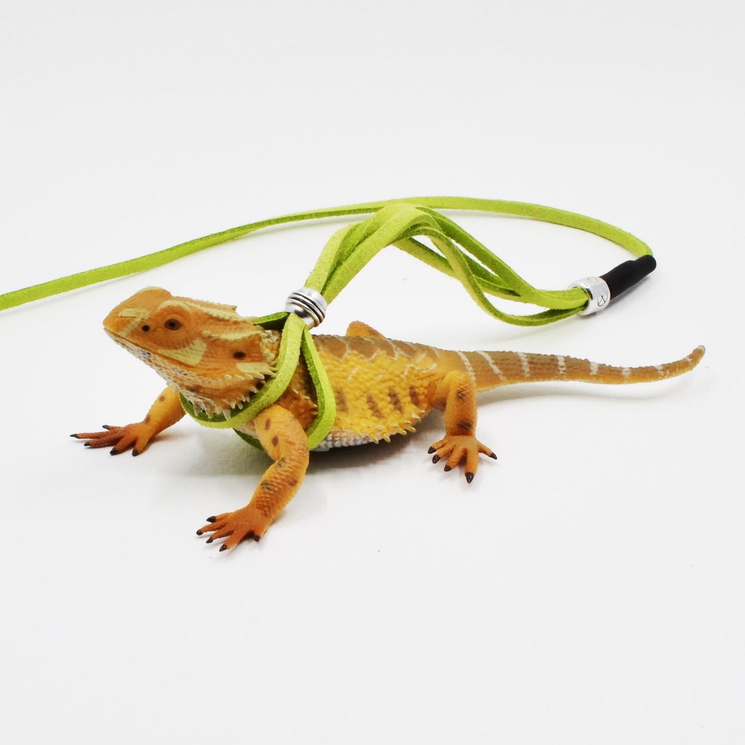 Bearded Dragon Leash, Reptile Adjustable Leash, Iguana Leash, Reptile ...