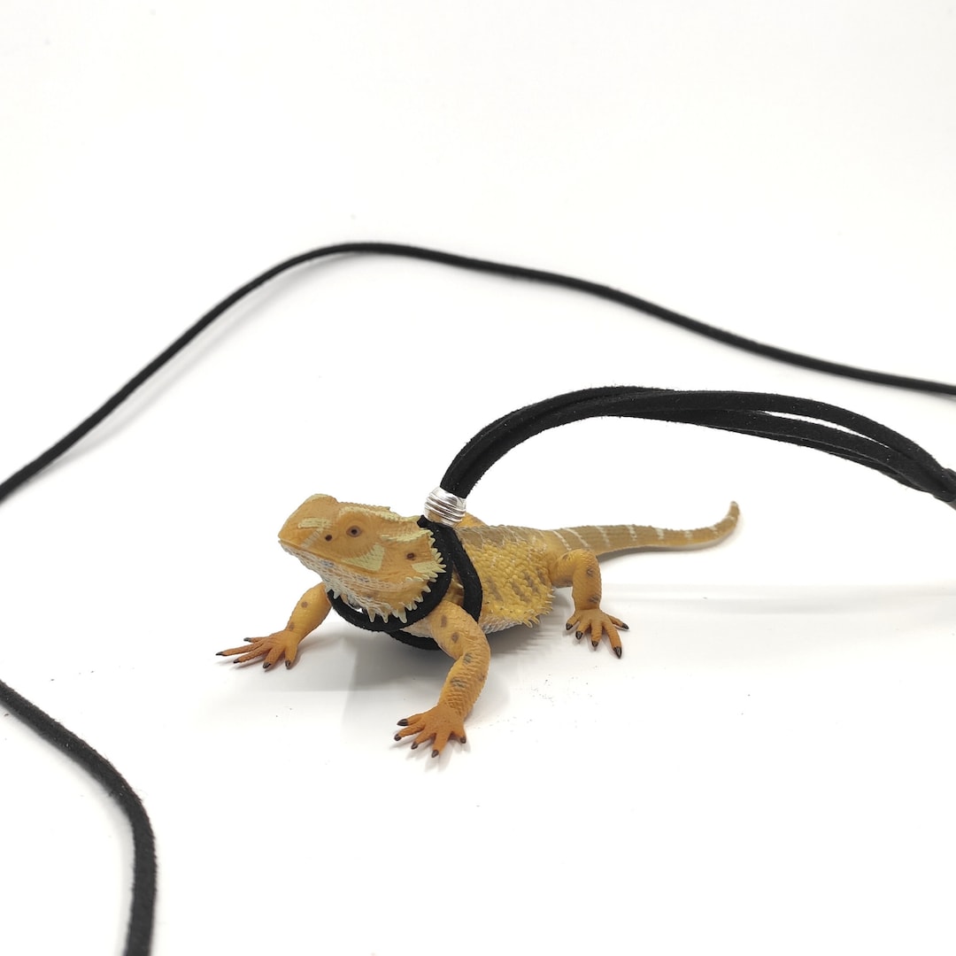 Bearded Dragon Leash, Reptile Adjustable Leash, Iguana Leash, Reptile ...