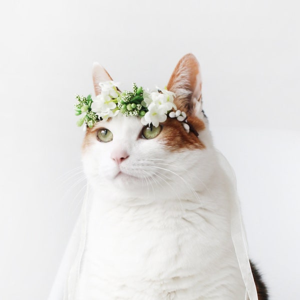 Cat Crown - Etsy