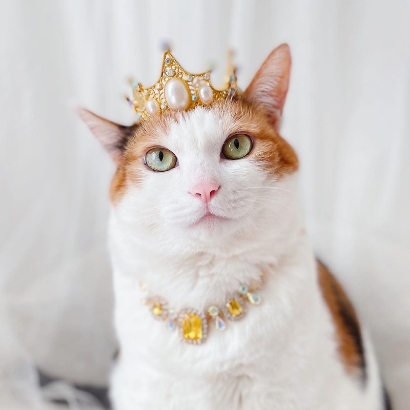 Cat Queen - Etsy