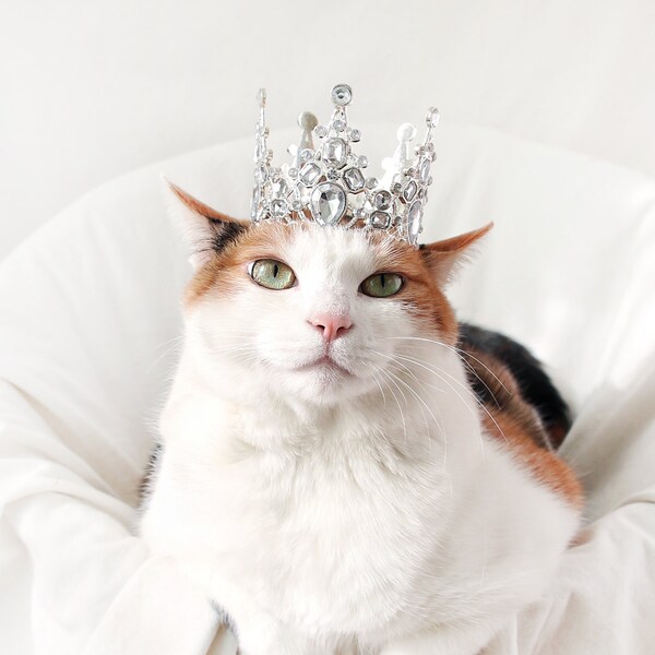 Cat Crown - Etsy
