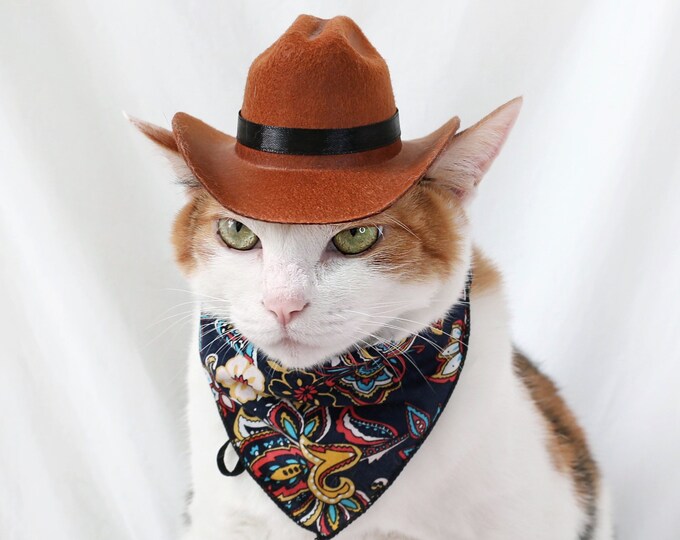 Cat Ideas Etsy