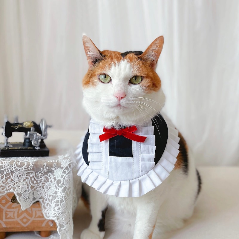 Cat Maid Outfits - Etsy