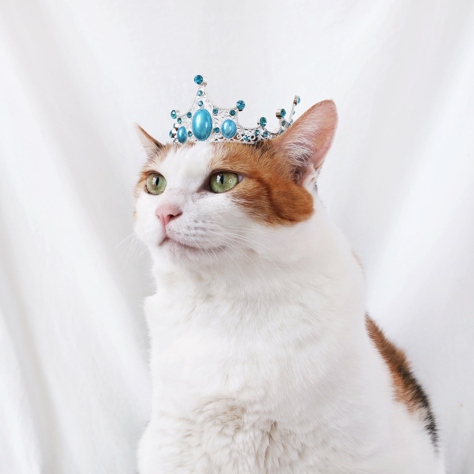 Blue Pearl Pet Crown: Cubic Alloy Tiara for Cat or Dog - Etsy