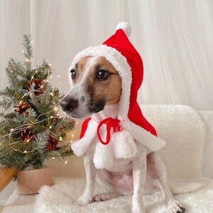 Christmas Santa Red Cape Hat Costume Hoodie Coat Cat Dog Pet Gifts ...