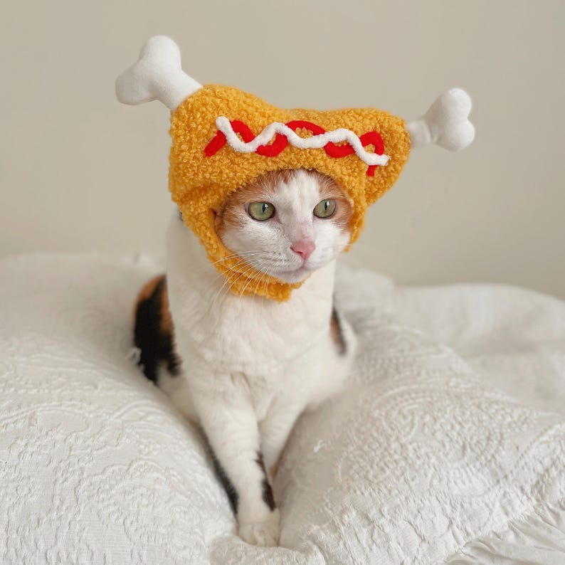 Funny Fried Chicken Hat With Ketchup: Cat & Small Dog Costume - Etsy