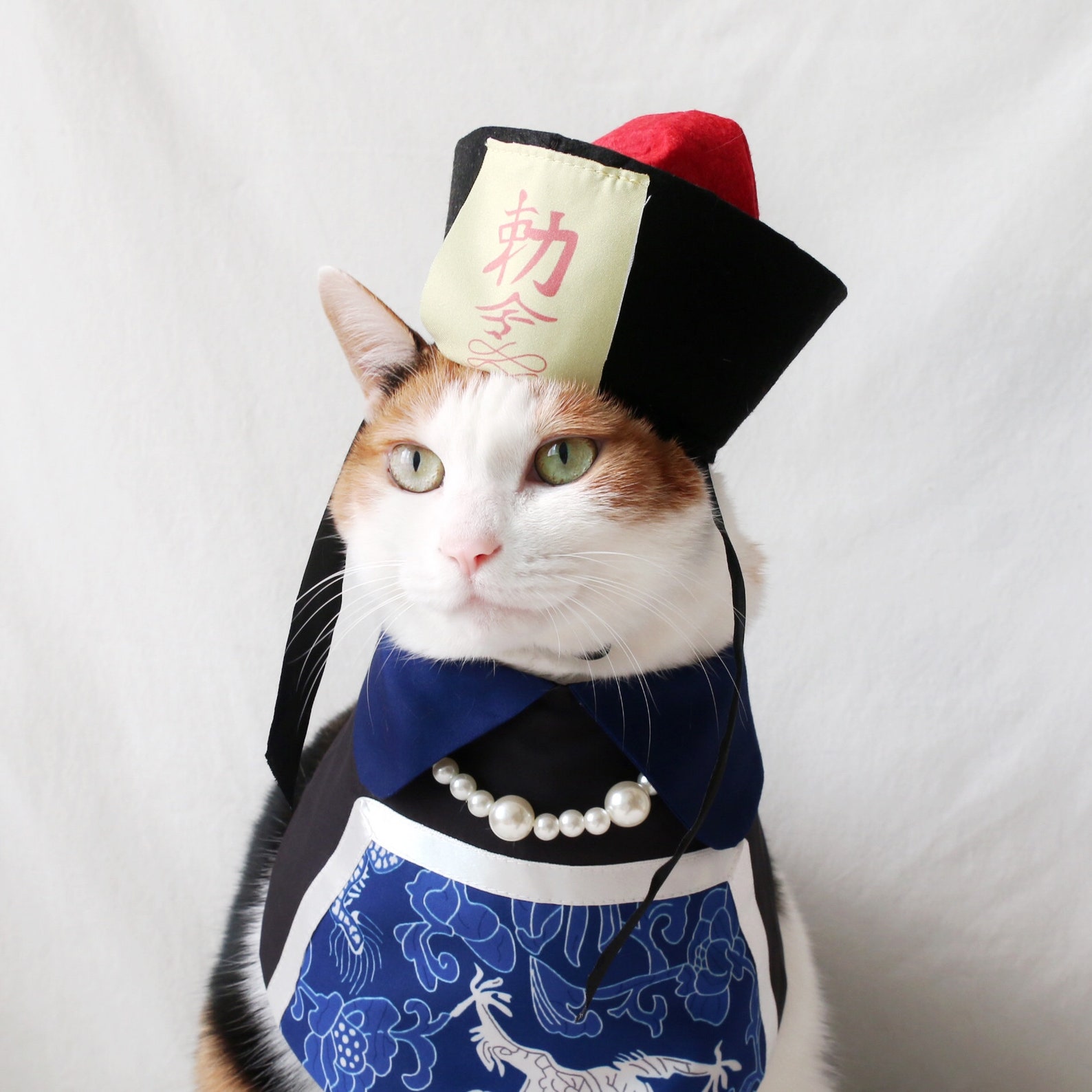 Pet Cat Dog Chinese Zombie Hat Cape Manteau Cloths Halloween Costume ...