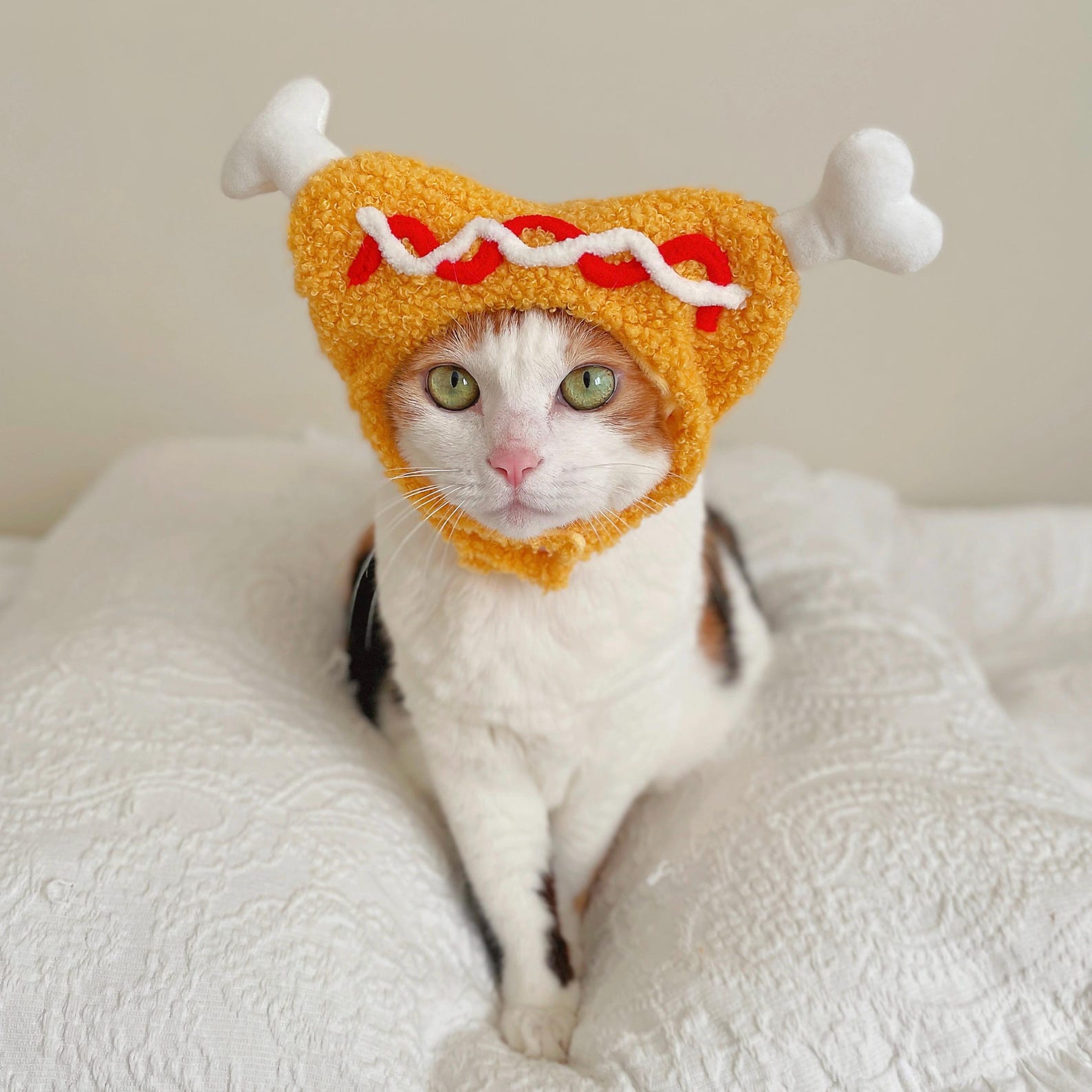 Funny Fried Chicken Hat With Ketchup: Cat & Small Dog Costume - Etsy