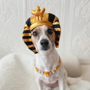 Egyptian Pharaoh Cat Costume: King's Headdress, Pet Halloween ...