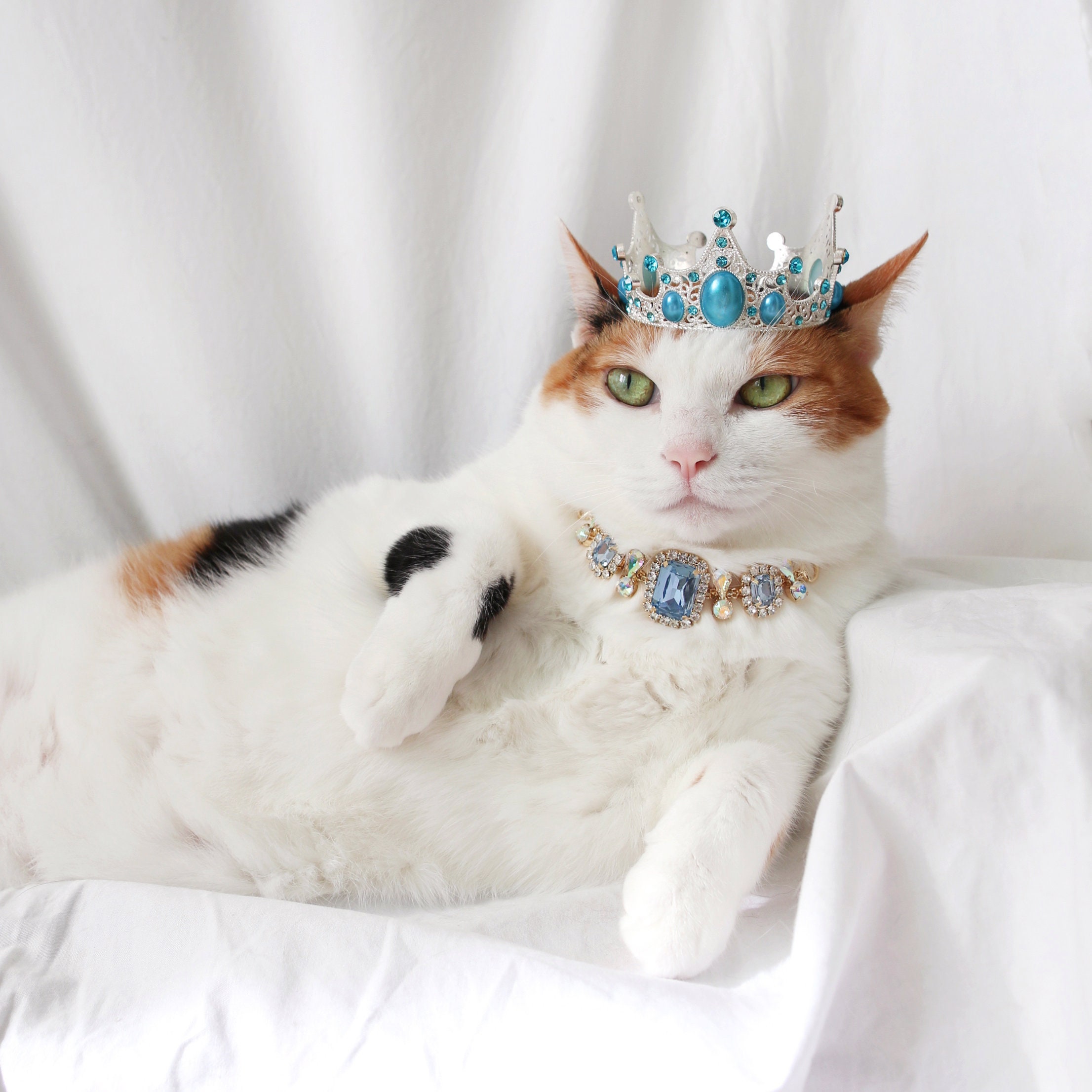Blue Pearl Pet Crown: Cubic Alloy Tiara for Cat or Dog - Etsy