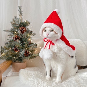 Christmas Santa Red Cape Hat Costume Hoodie Coat Cat Dog Pet Gifts ...