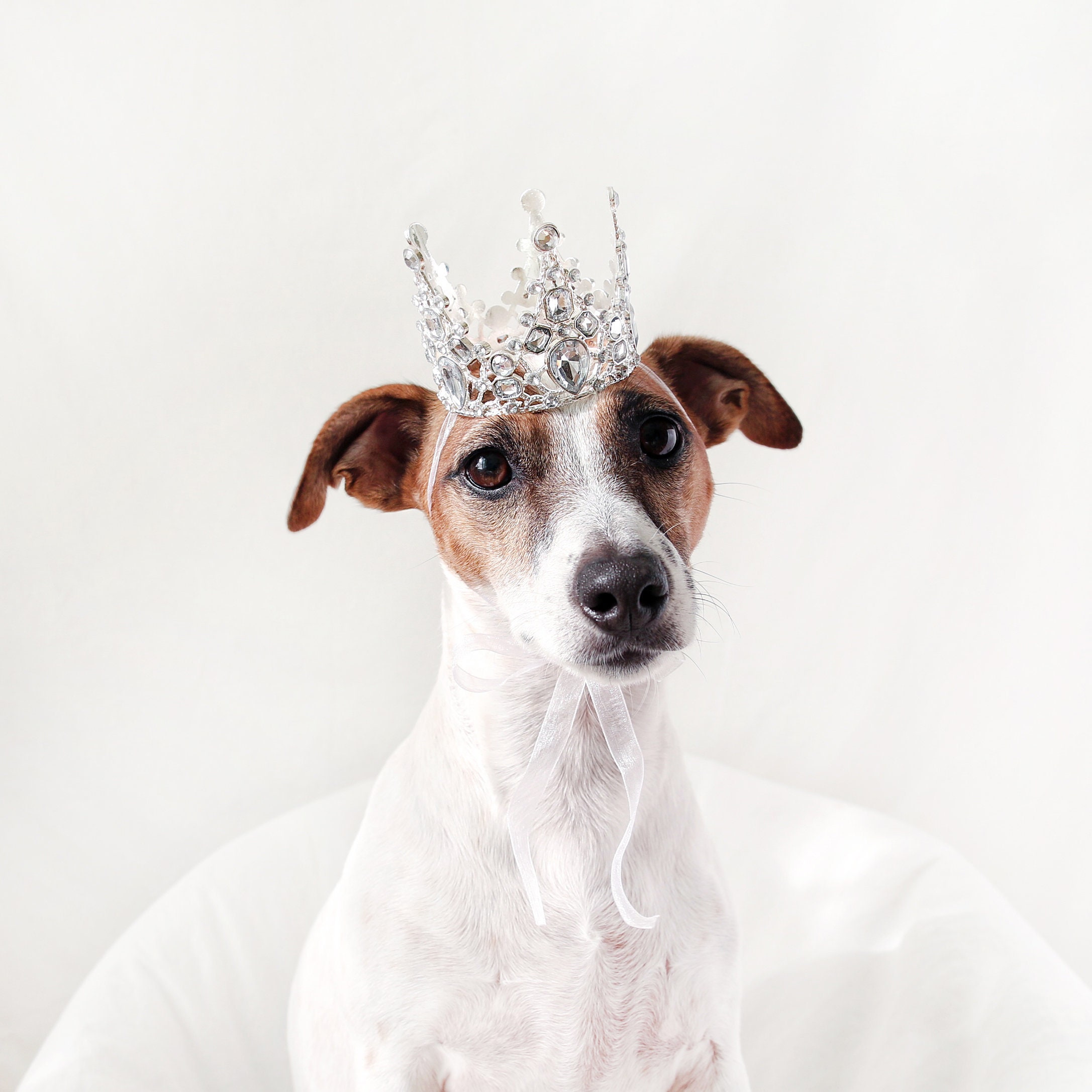 Silver Tiara Crown for Cat Dog Queen Princess Hat Wedding - Etsy