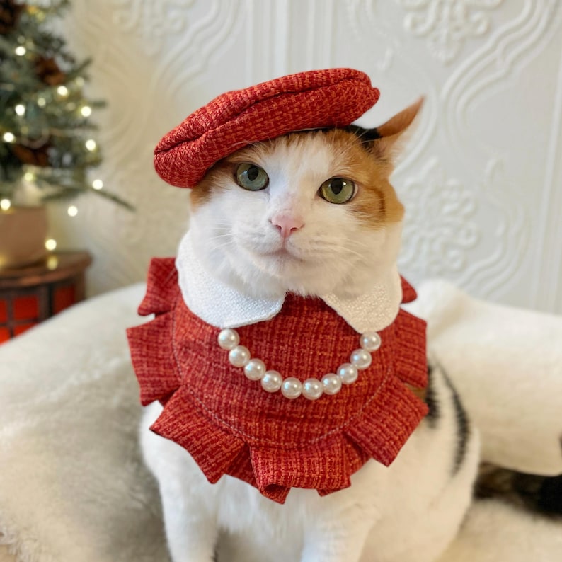Red Luxury Tweed Beret & Pearl Scarf Collar for Cats and Dogs - Etsy